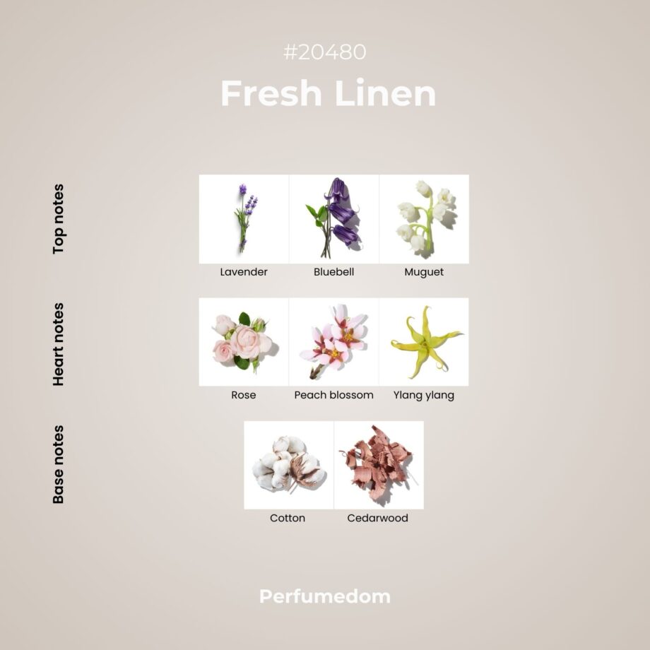 Fresh Linen Fragrance Oil - Exciting scent from only 1.90€