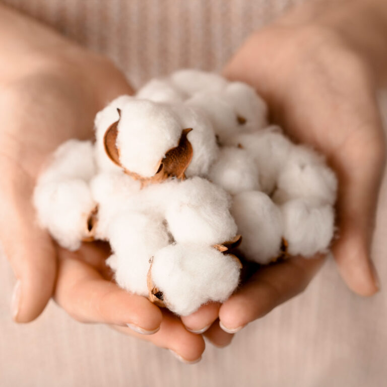 What is Musk Scent? A nosedive on this mysterious compound