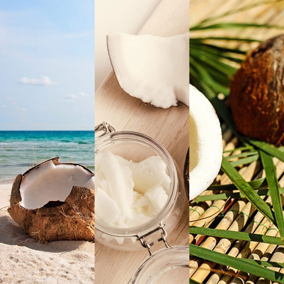 3 unique coconut fragrances for that heavenly tropical vibe