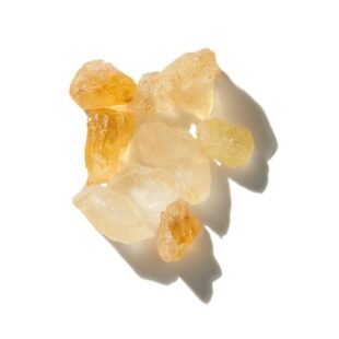 Scent Notes Library - Learn all about aromatic compounds