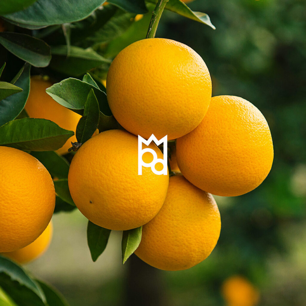 Orange Essential Oil - All natural extract