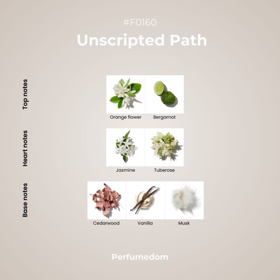 Unscripted Path Perfume Oil | Designer Inspired Scent