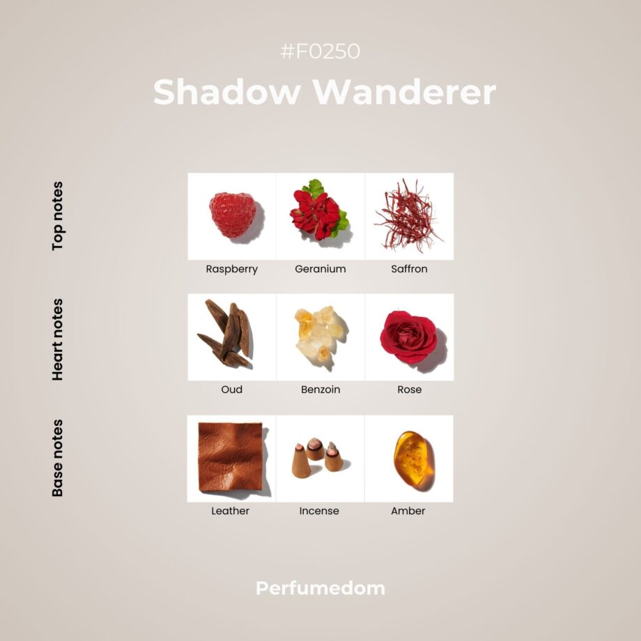 Shadow Wanderer Perfume Oil | Designer Inspired Scent